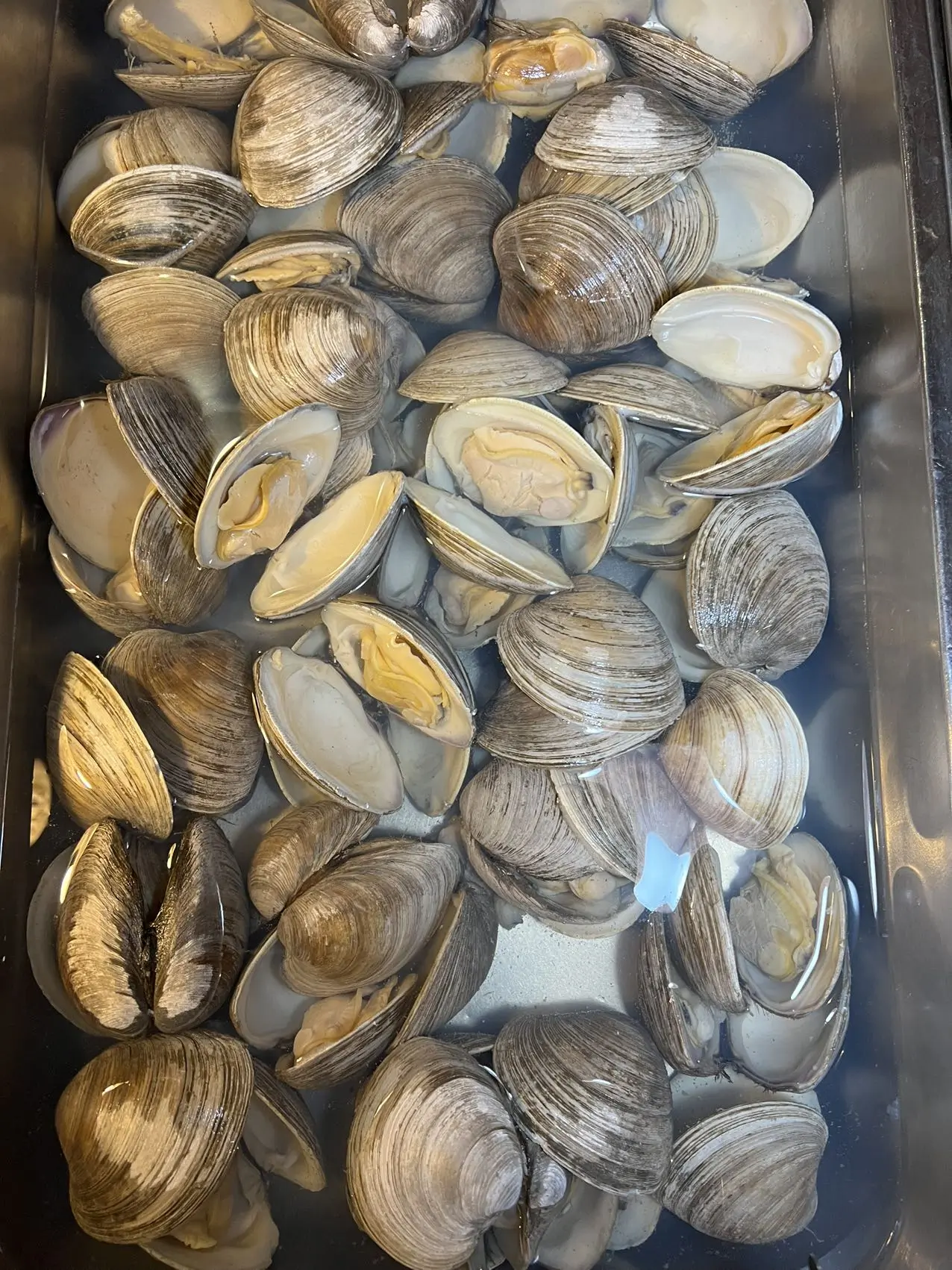 Ho Ho Hibachi Sushi | Online Order | Brockport | NY